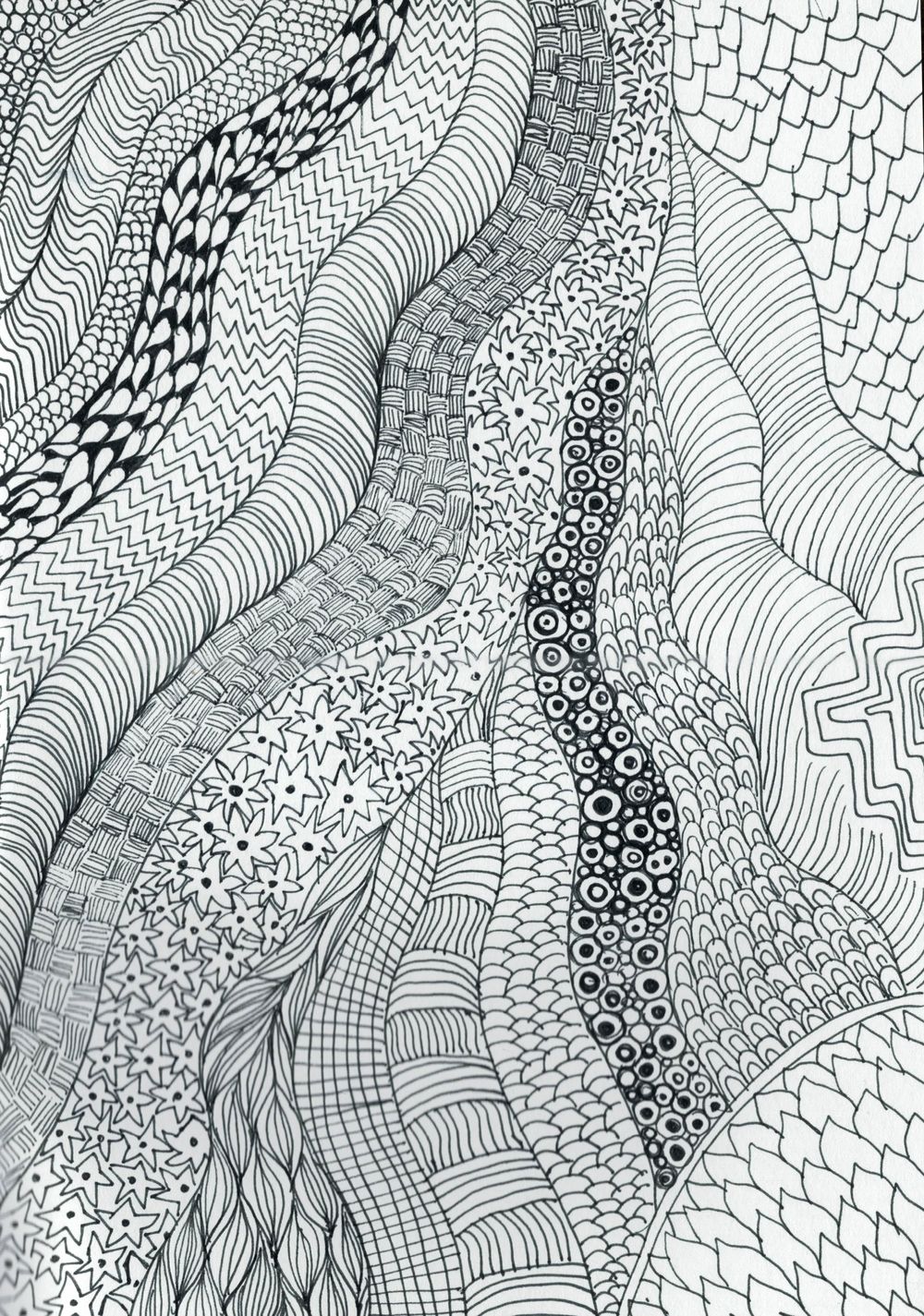 Drawing Adventure | Skillshare Student Project