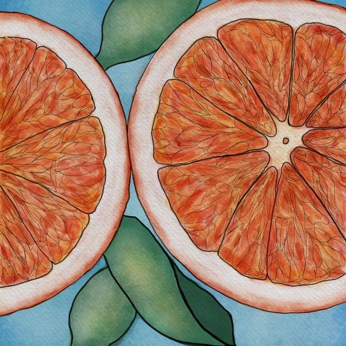Blood Orange Watercolor | Skillshare Student Project
