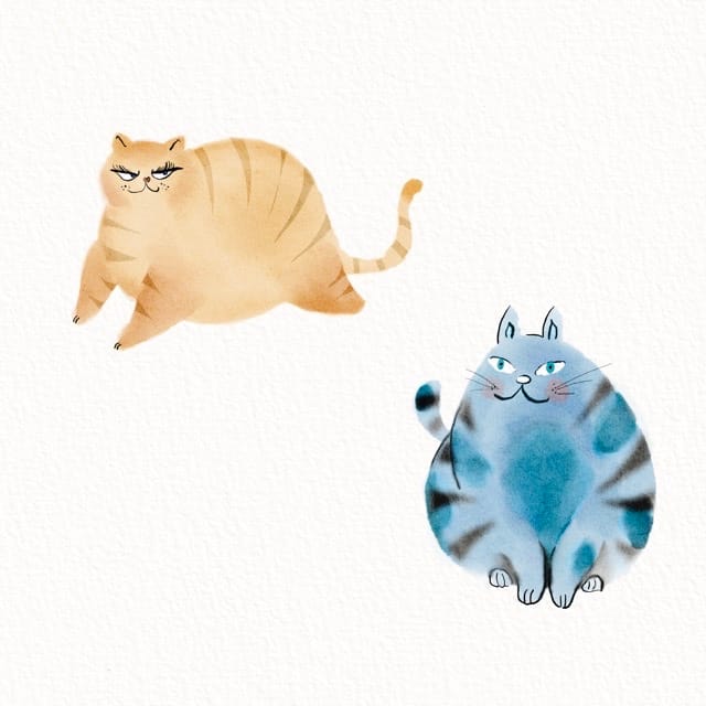 Nice class | Skillshare Student Project