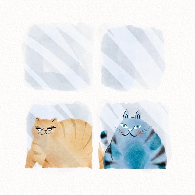 Nice class | Skillshare Student Project