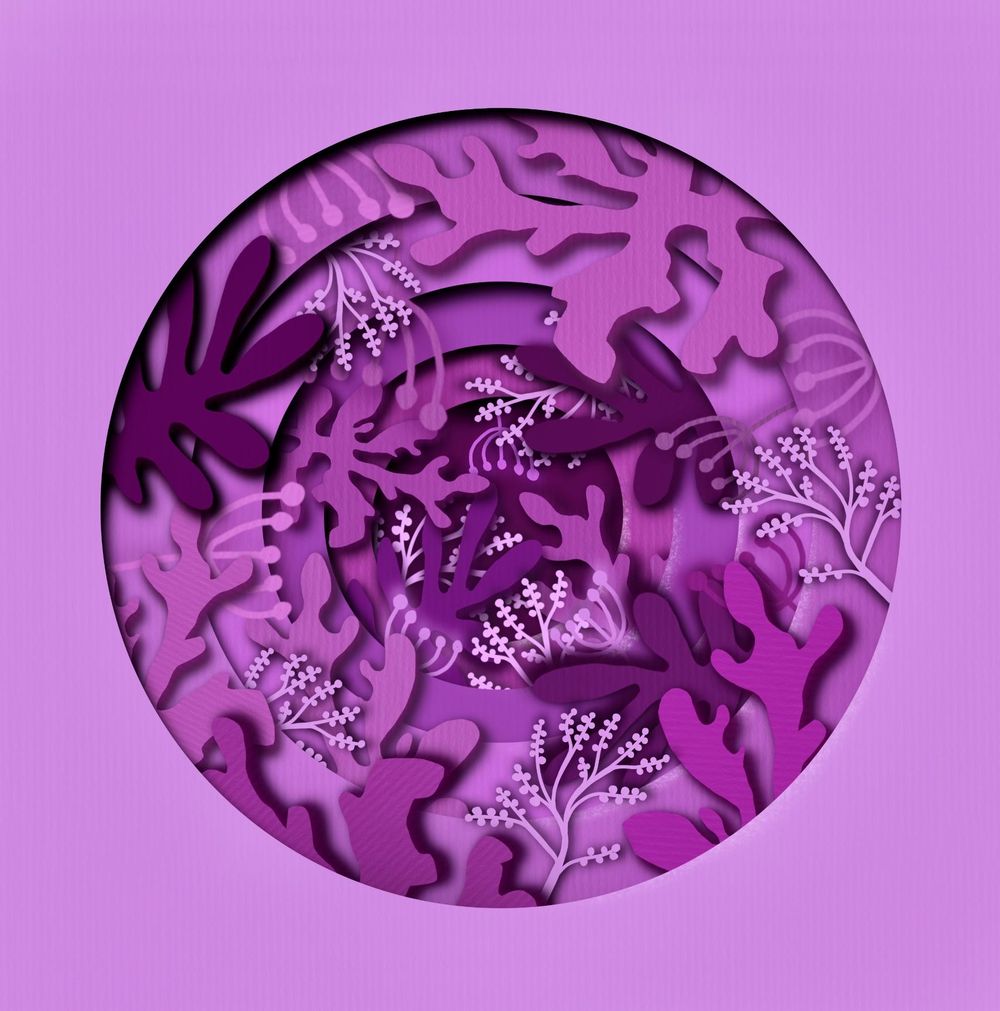 Paper cut outs | Skillshare Student Project