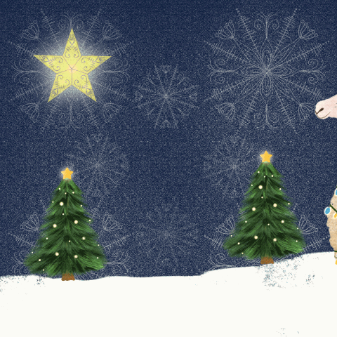 GIFs made in Procreate 5 | Skillshare Student Project