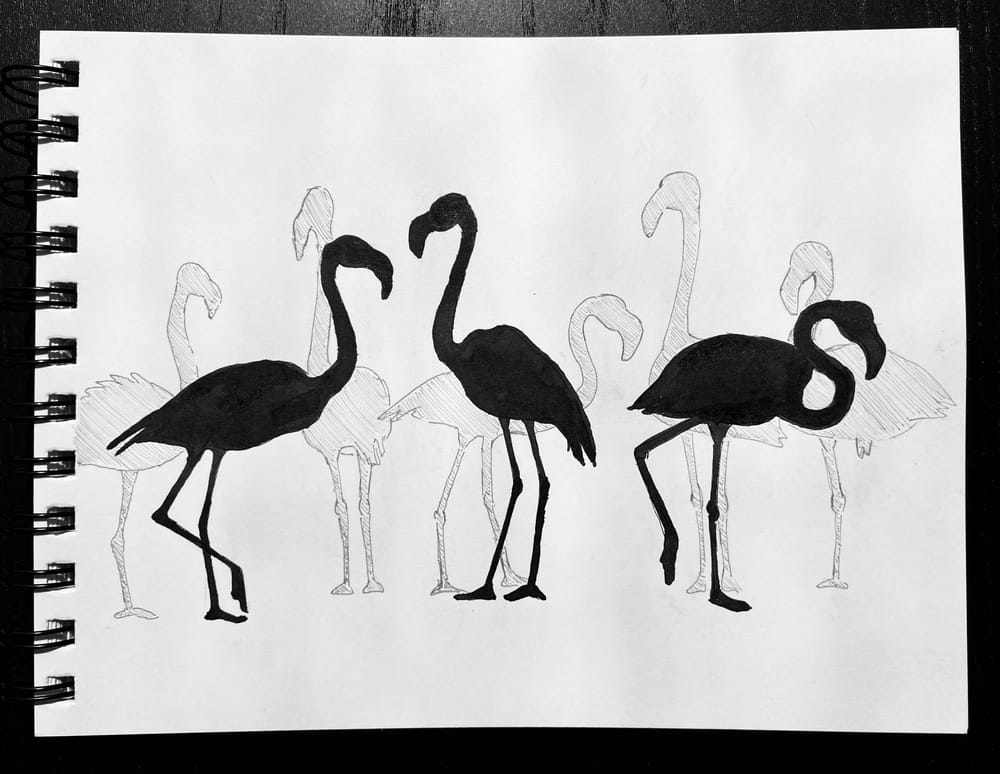 Ink practice | Skillshare Student Project