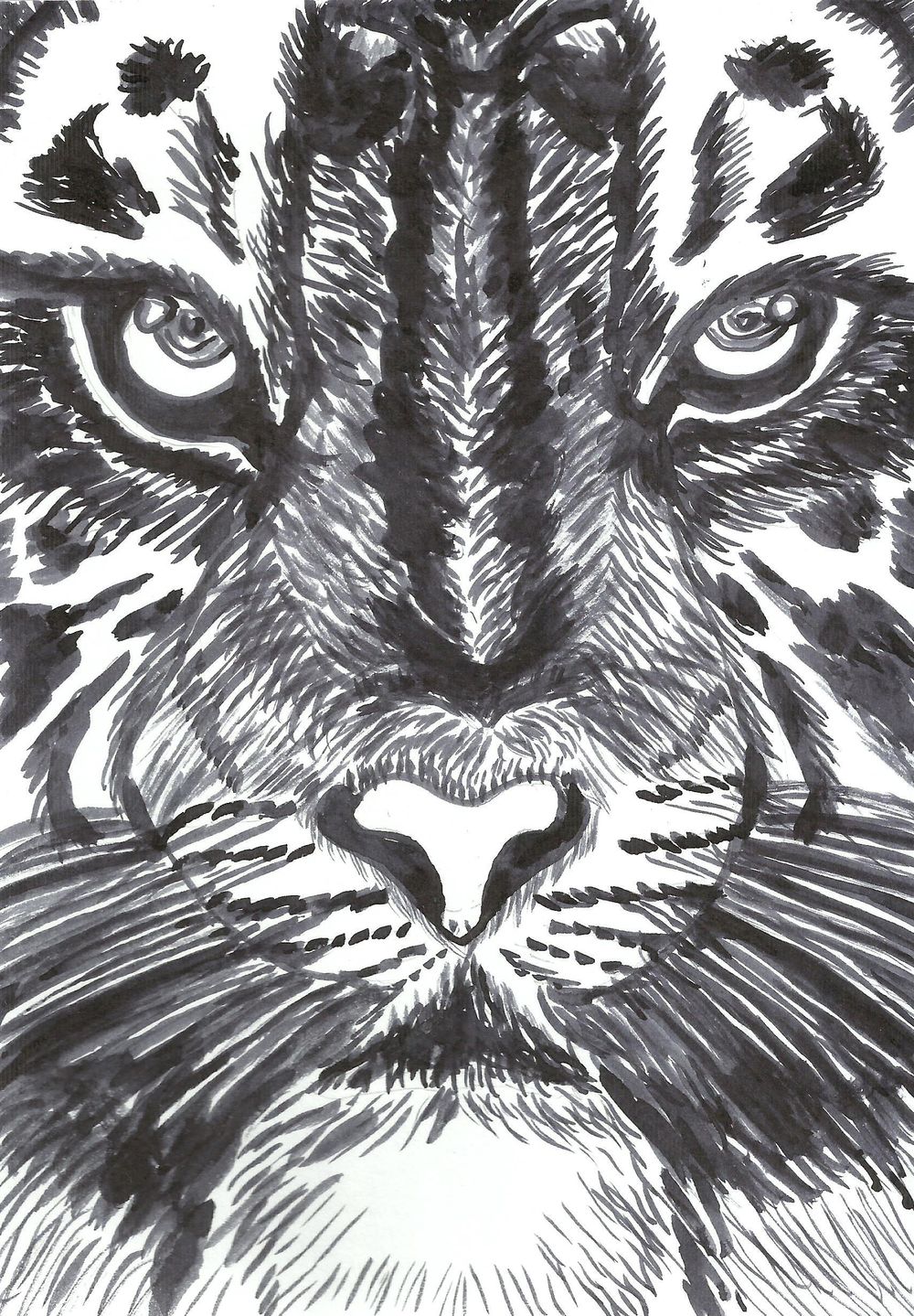 Fun class | Skillshare Student Project