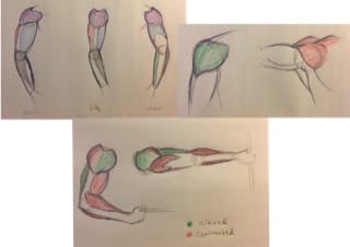 28-Day Drawing Challenge: Anatomy | Skillshare Student Project