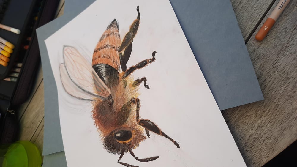 Mixed media bee | Skillshare Student Project
