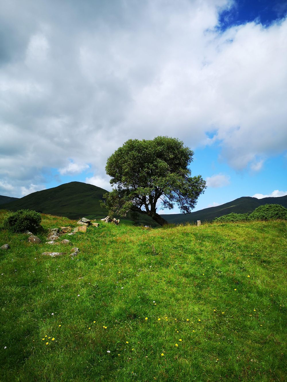 Photo Texture Collage - Blending & Textures in Adobe Photoshop ...