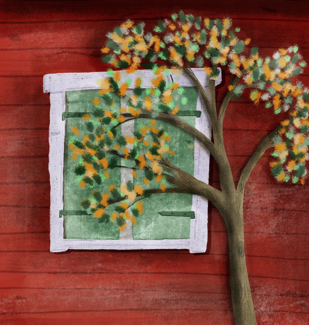 Shadow And Light In Procreate Skillshare Student Project