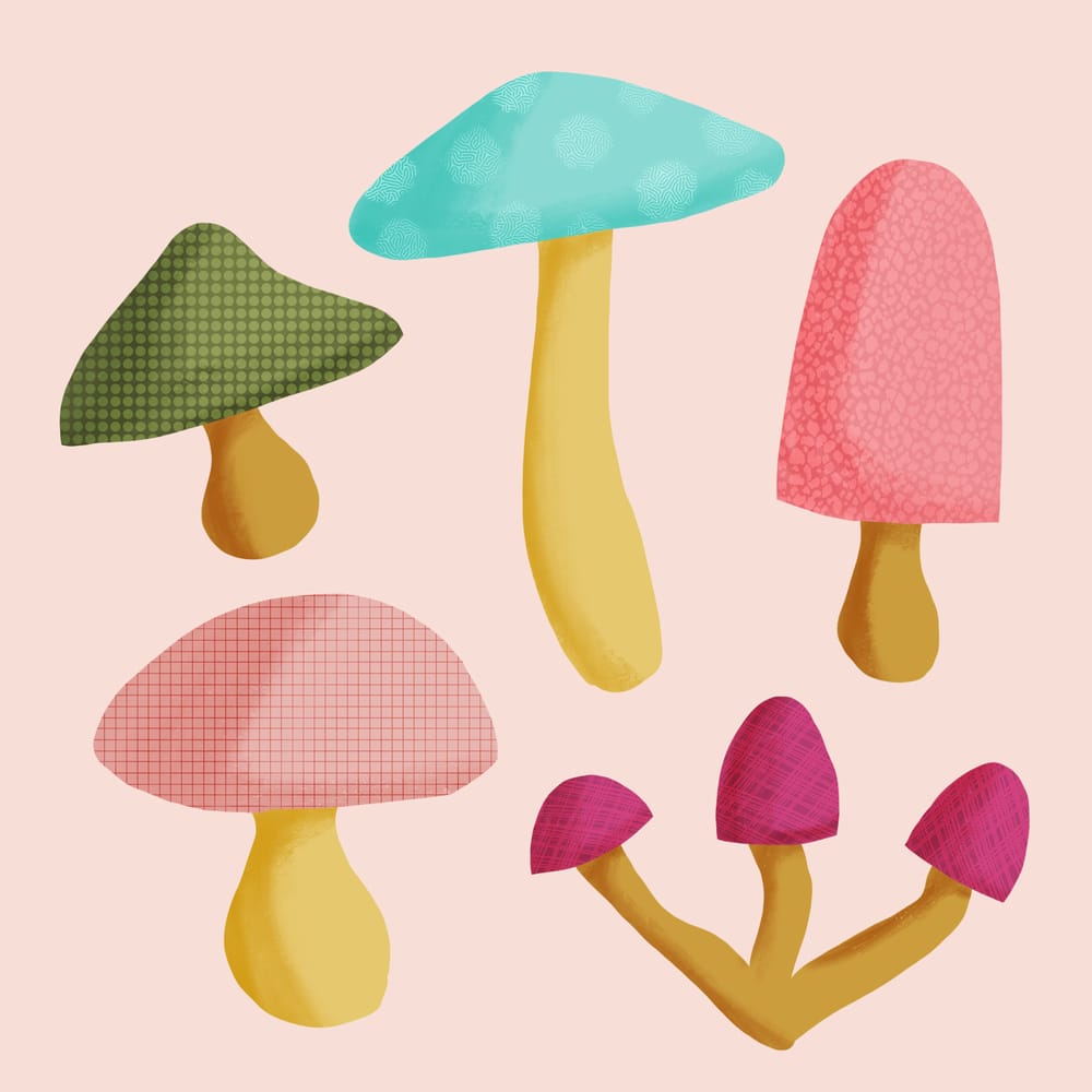 Week 2 reflection | Skillshare Student Project