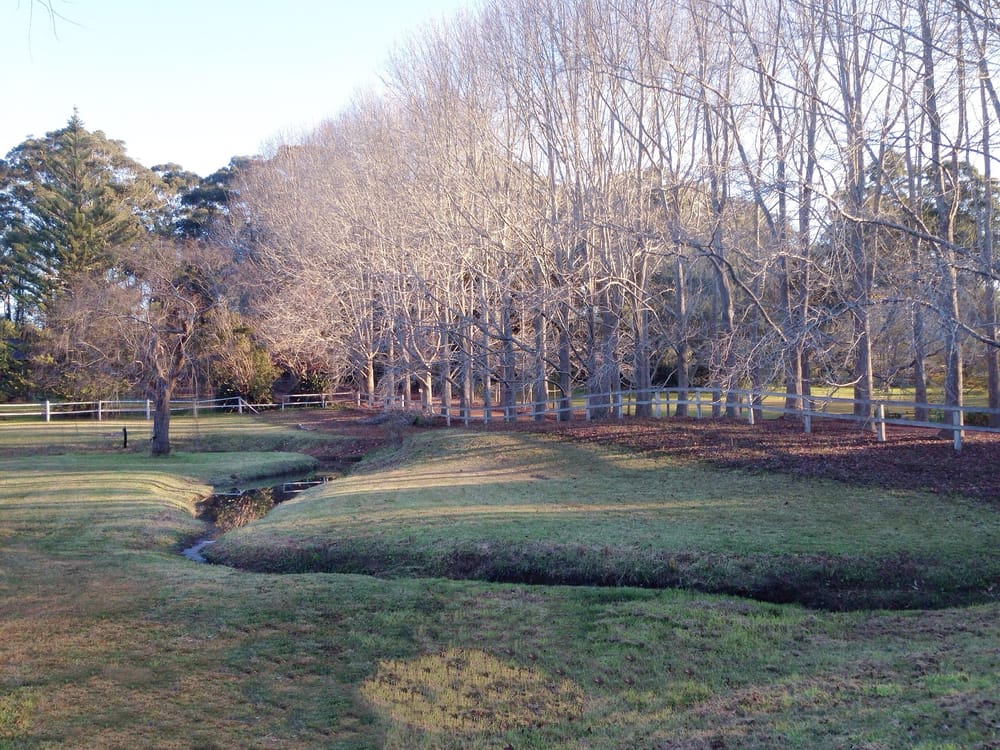 Afternoon light | Skillshare Student Project