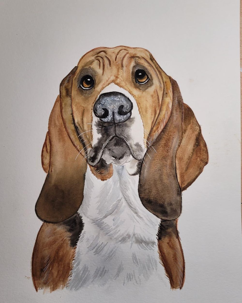 Cooper! | Skillshare Student Project