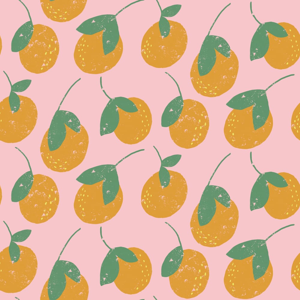 Orange Crush | Skillshare Student Project