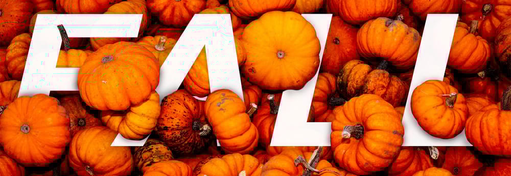 Ps Essential Projects | Skillshare Student Project