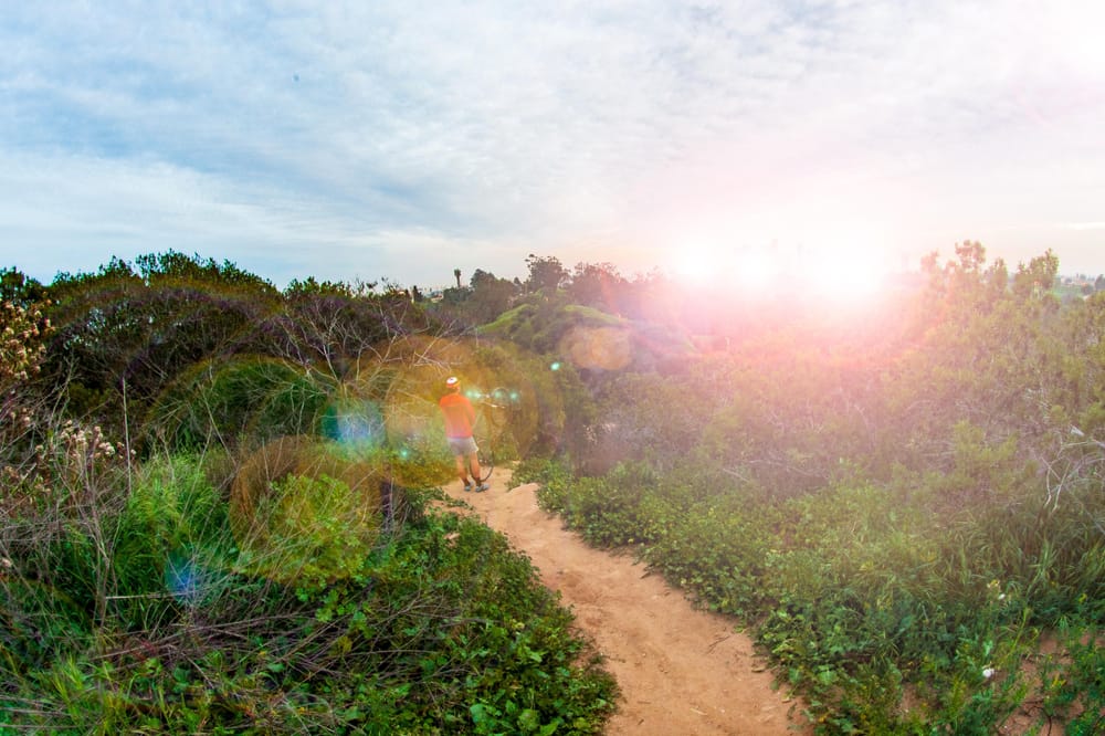 Ps Essential Projects | Skillshare Student Project