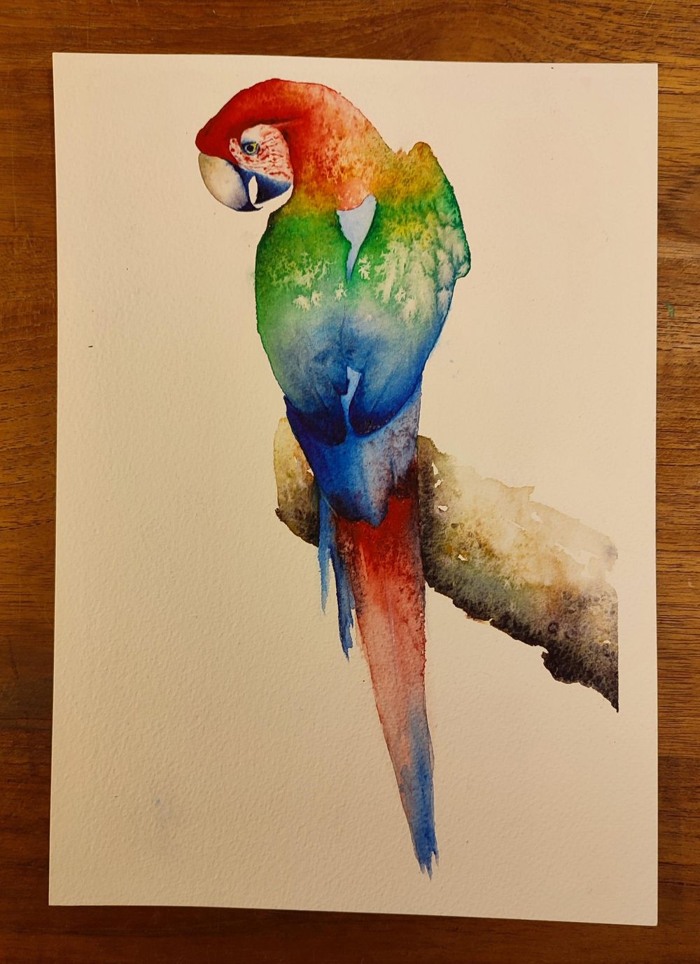 My parrot! | Skillshare Student Project