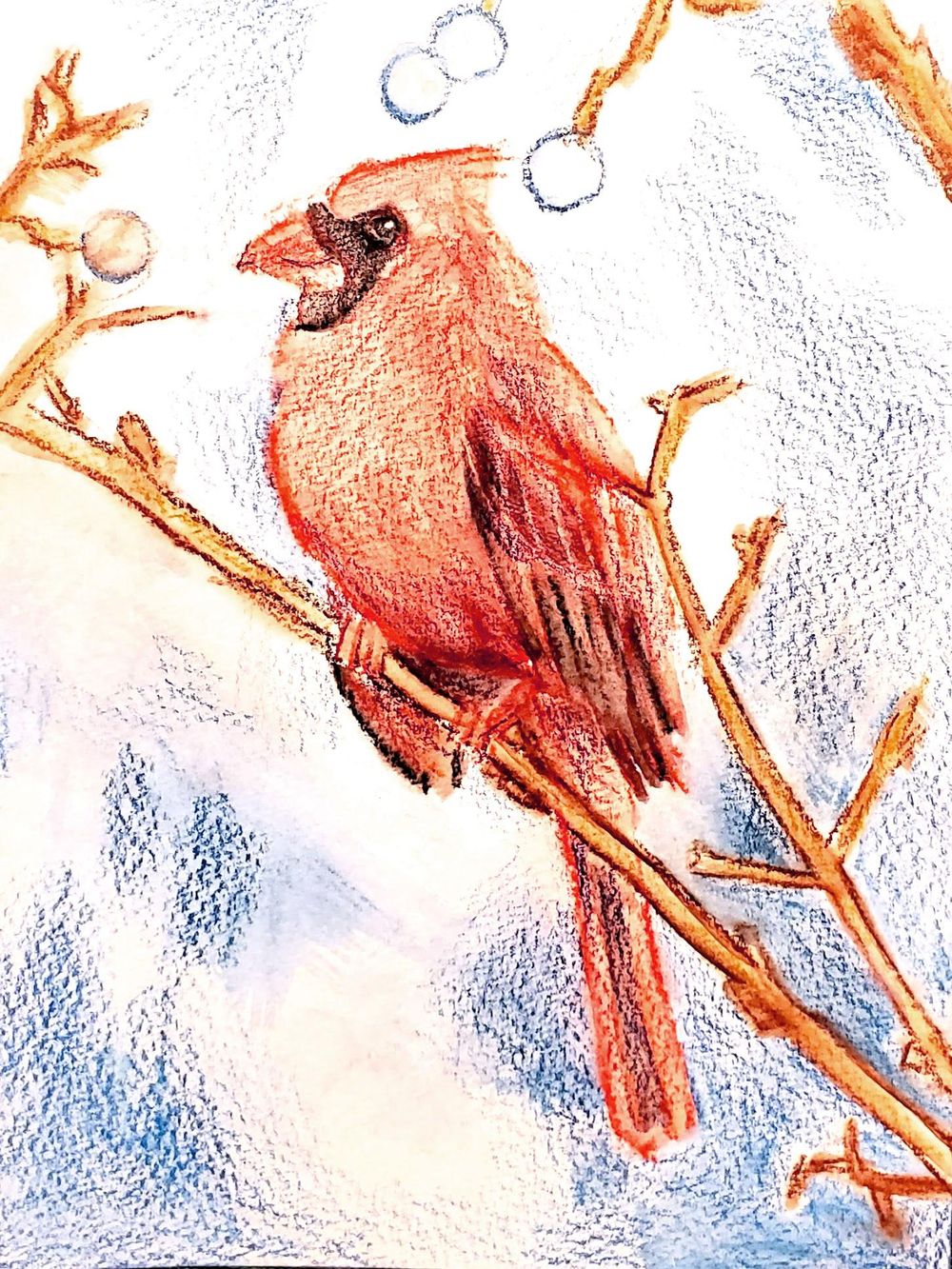 Cardinal | Skillshare Student Project