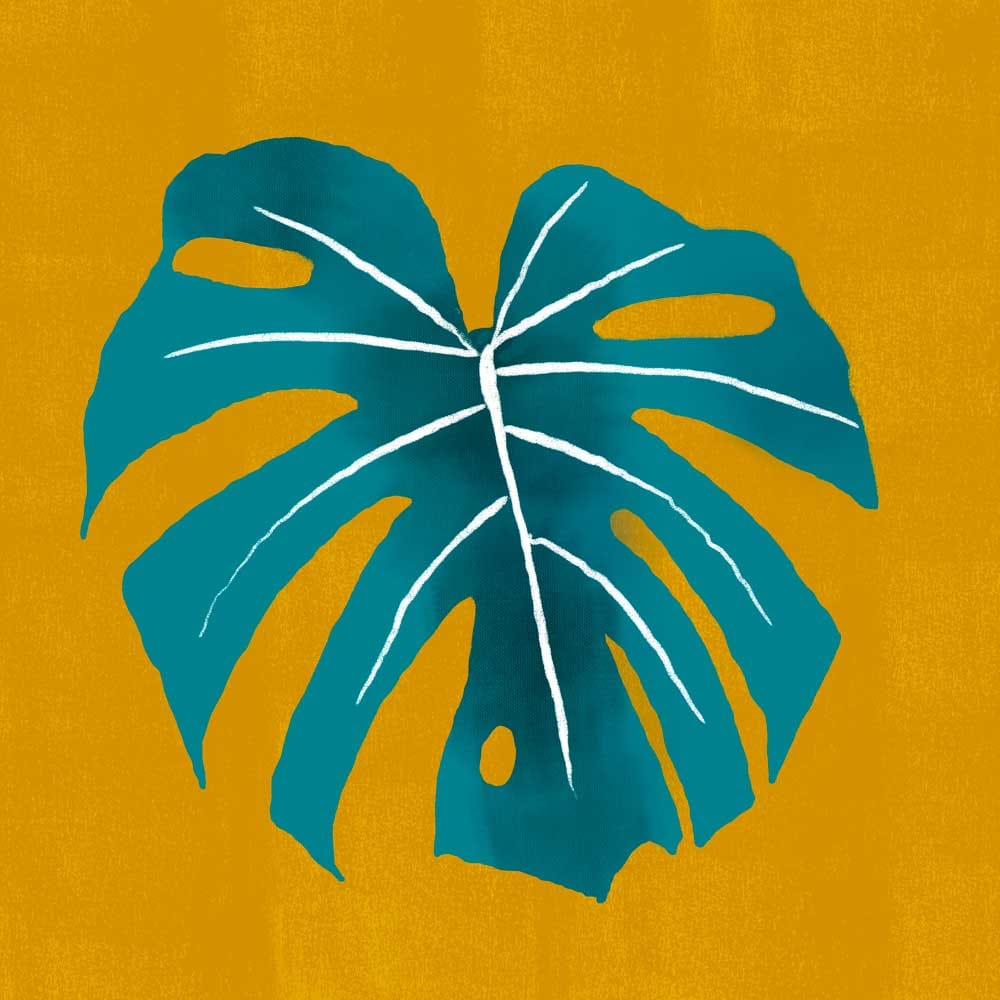 Beginner Procreate Projects | Skillshare Student Project