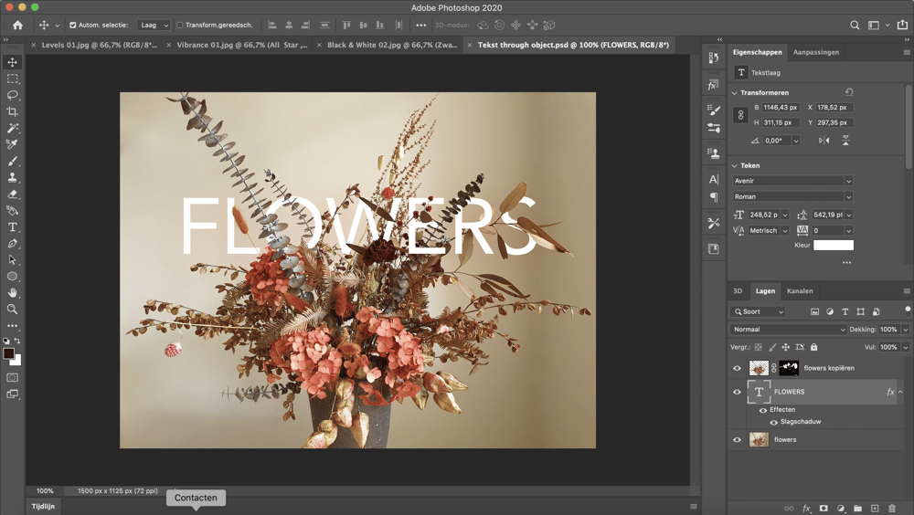 My Class Projects | Skillshare Student Project
