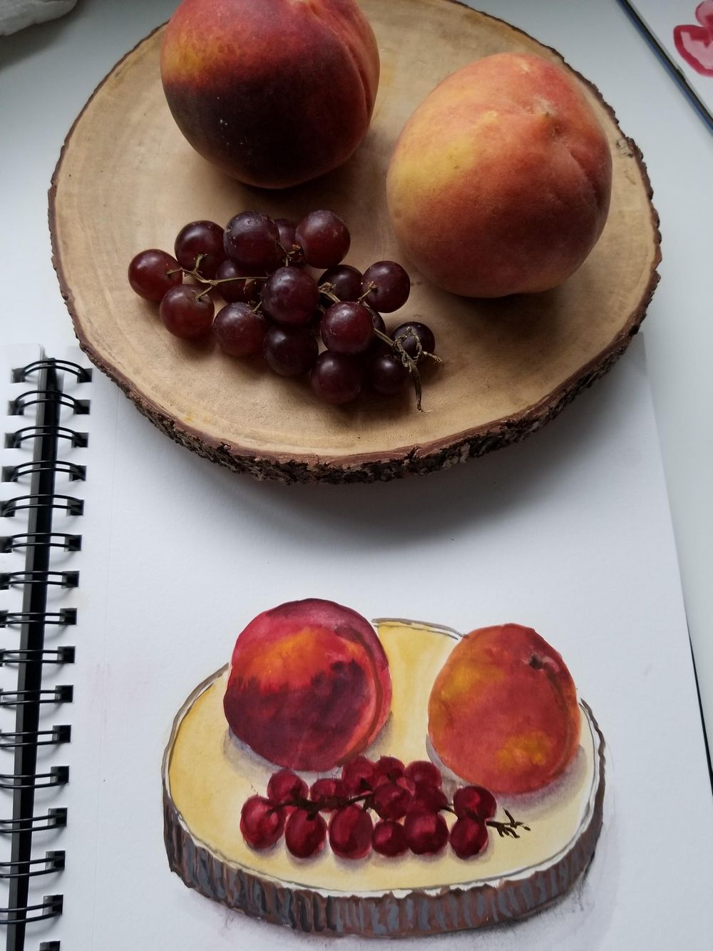 Fruits in Gouache | Skillshare Student Project