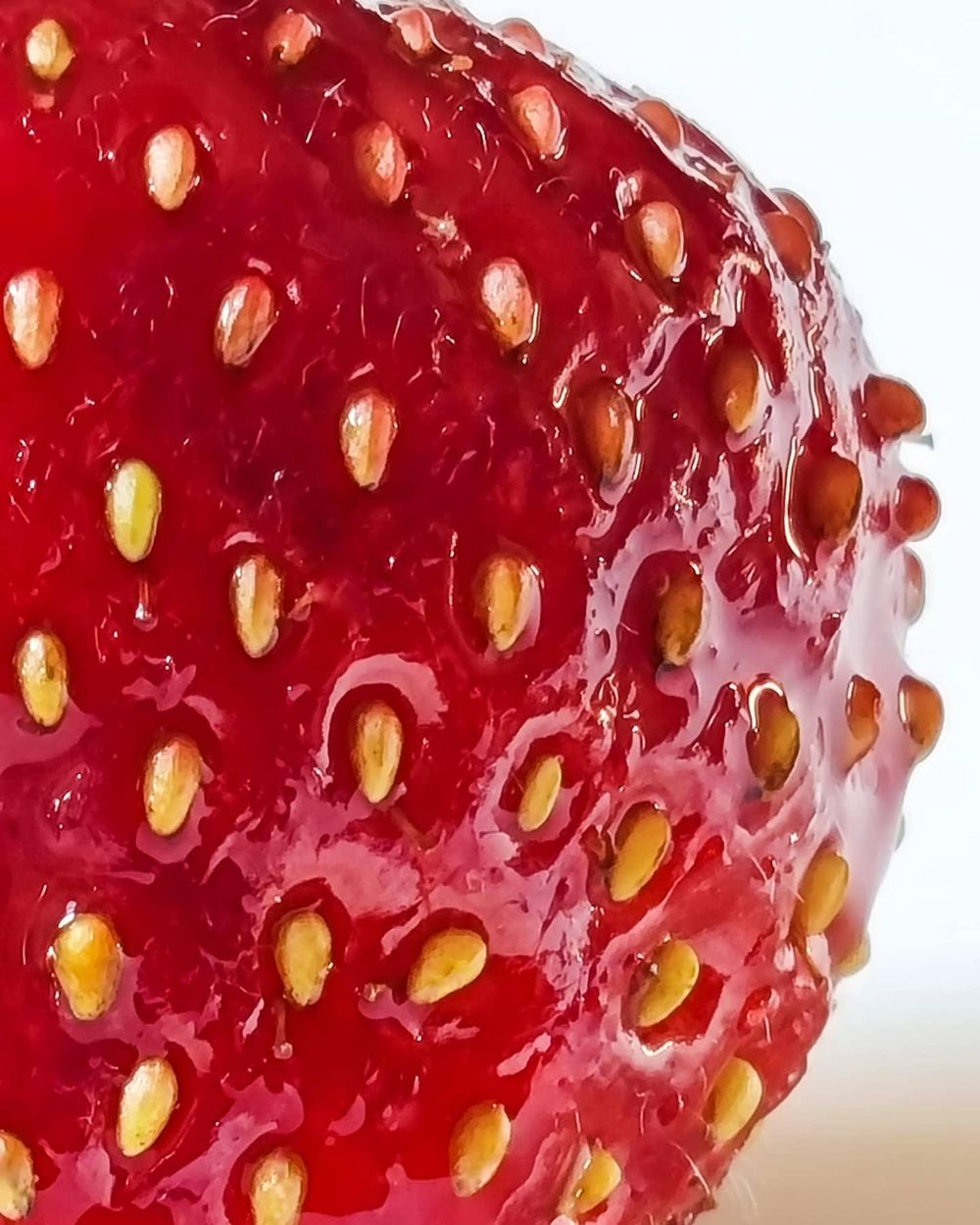 Sellable? | Skillshare Student Project