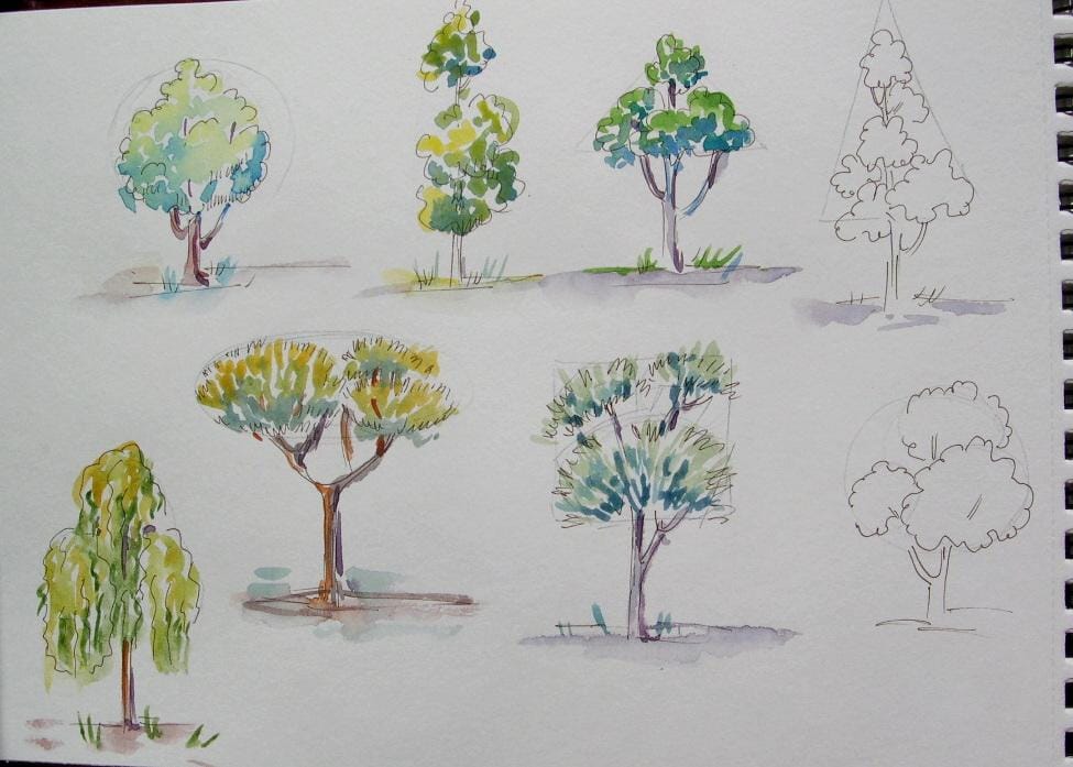 5 Fun and Easy Watercolor Trees | Skillshare Student Project