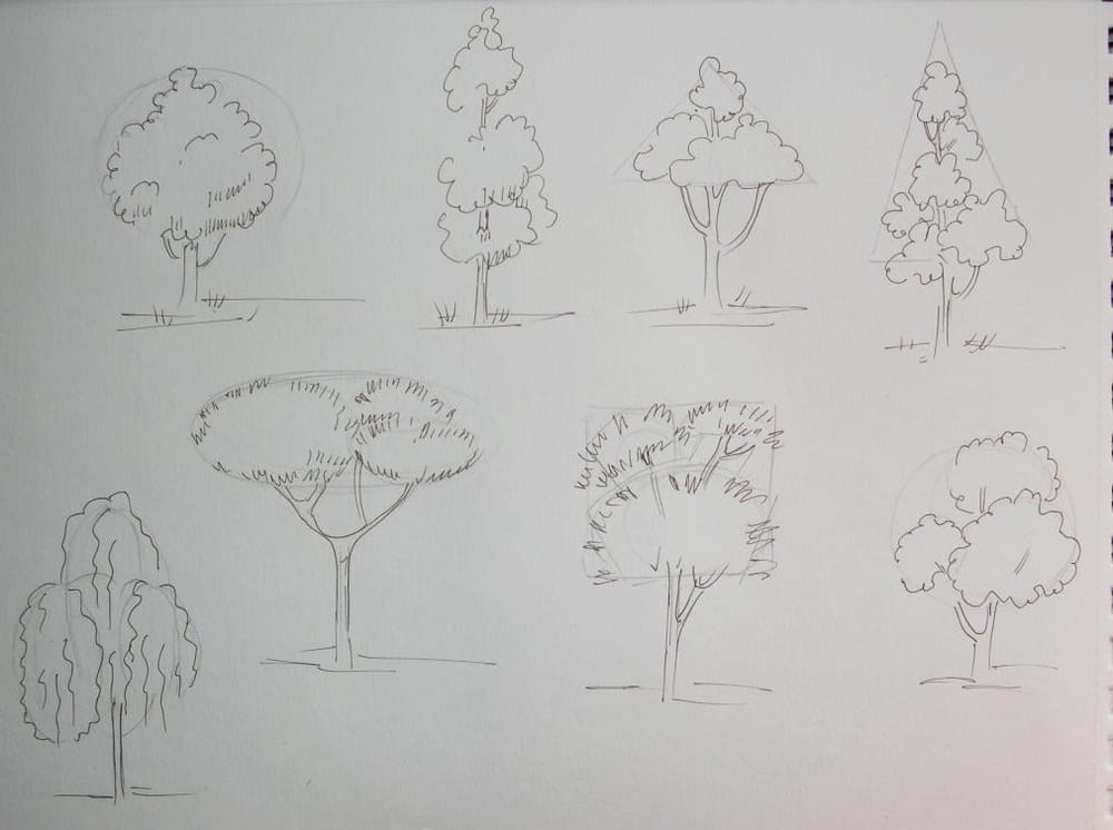 5 Fun and Easy Watercolor Trees | Skillshare Student Project