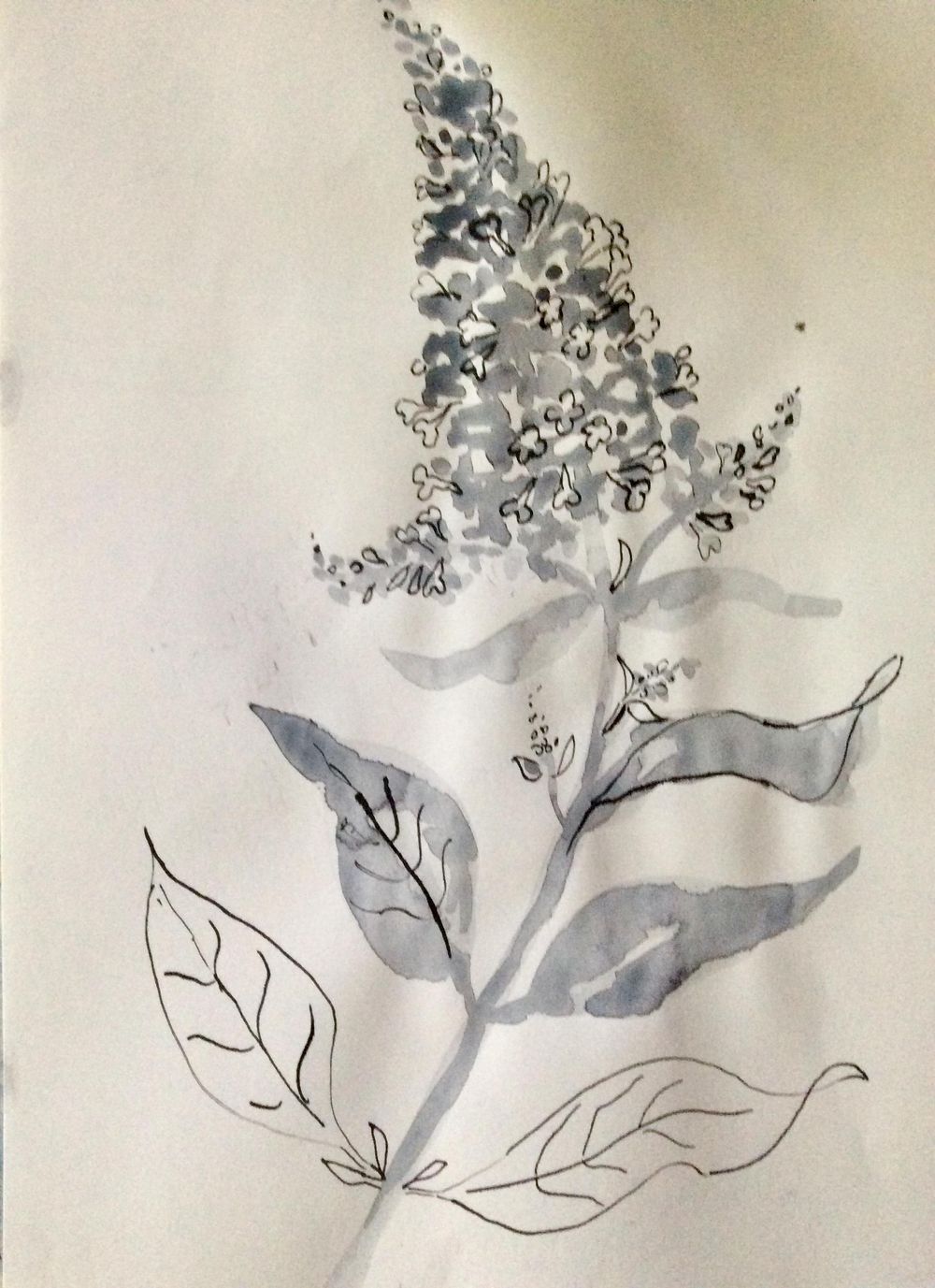 Watercolor and ink flowers | Skillshare Student Project