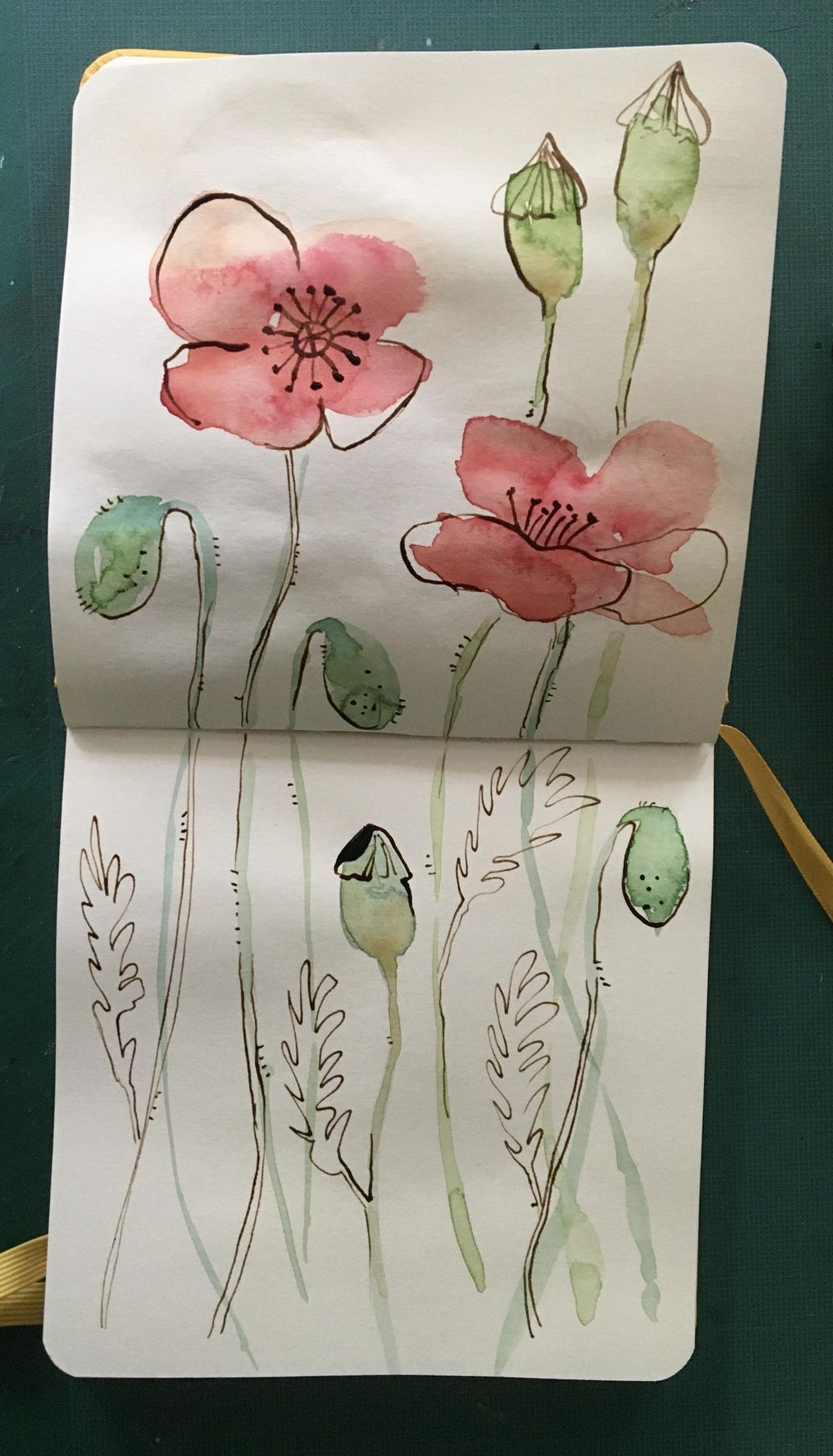 Creating freely | Skillshare Student Project