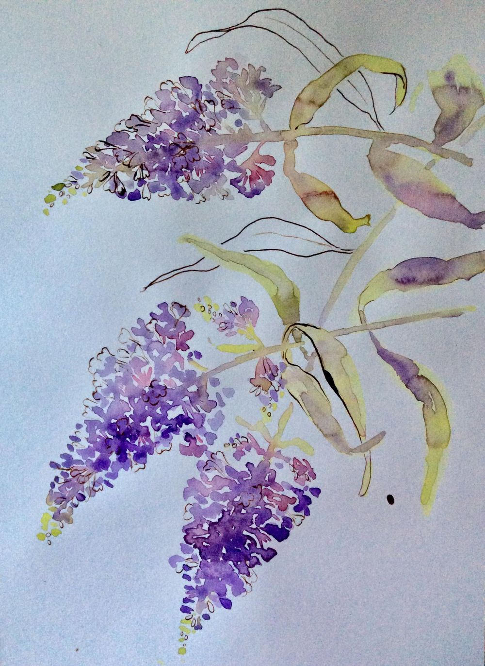 Watercolor and ink flowers | Skillshare Student Project