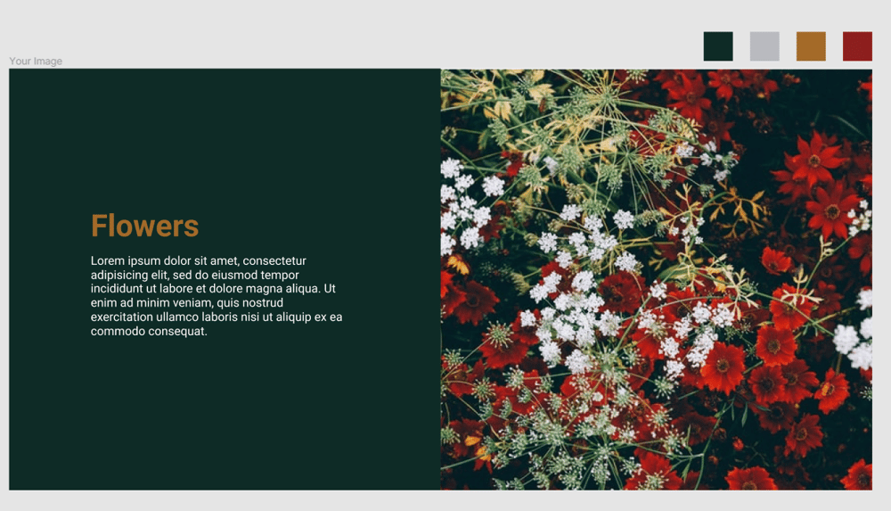 assignment sample colors | Skillshare Student Project assignment sample colors | Skillshare Student Project