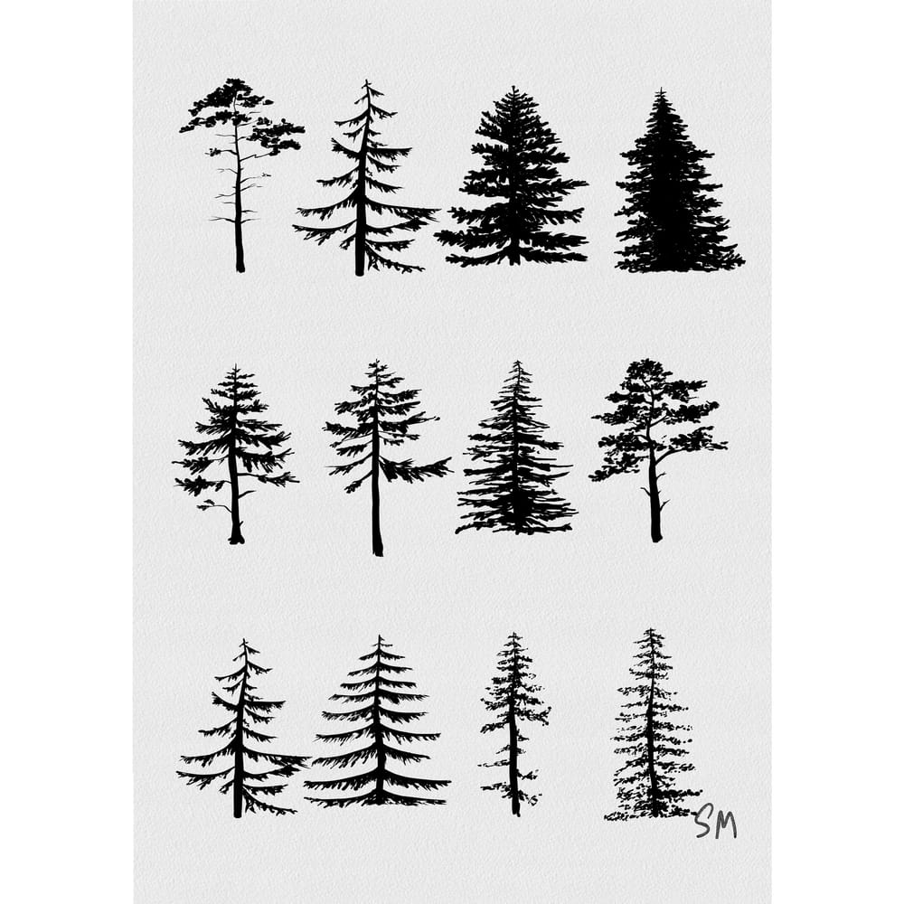 Trees | Skillshare Student Project