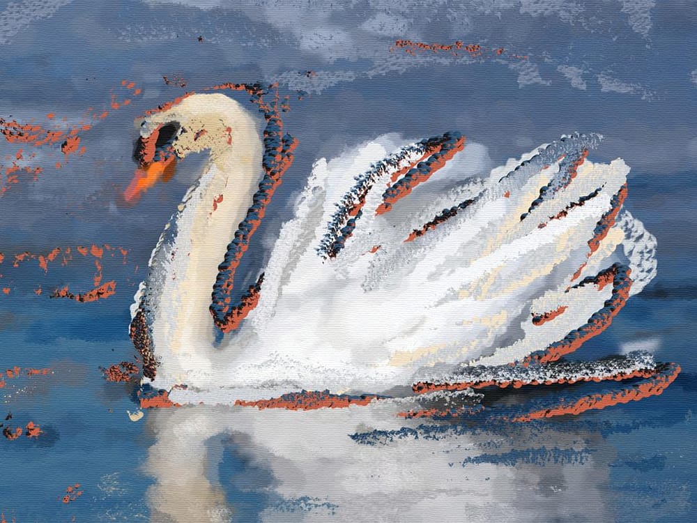 swan | Skillshare Student Project