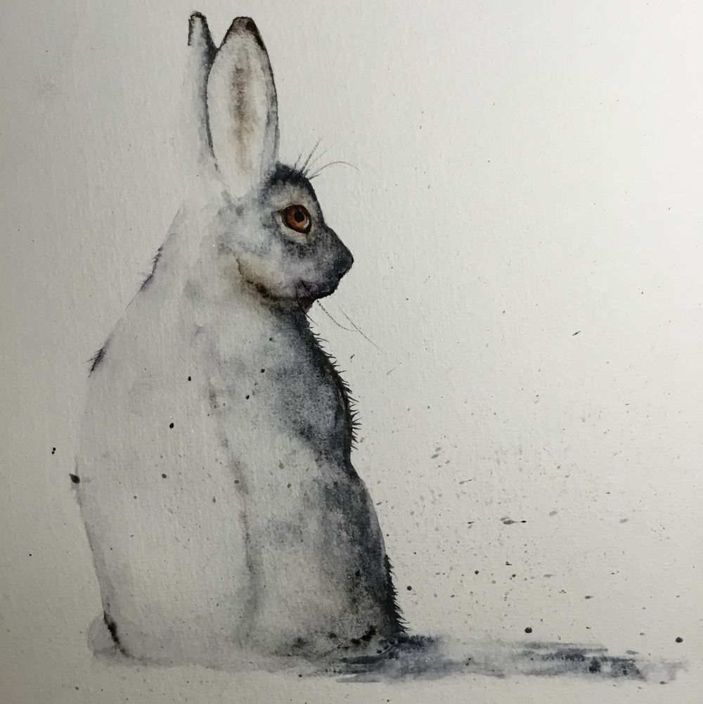 Snow Hare | Skillshare Student Project