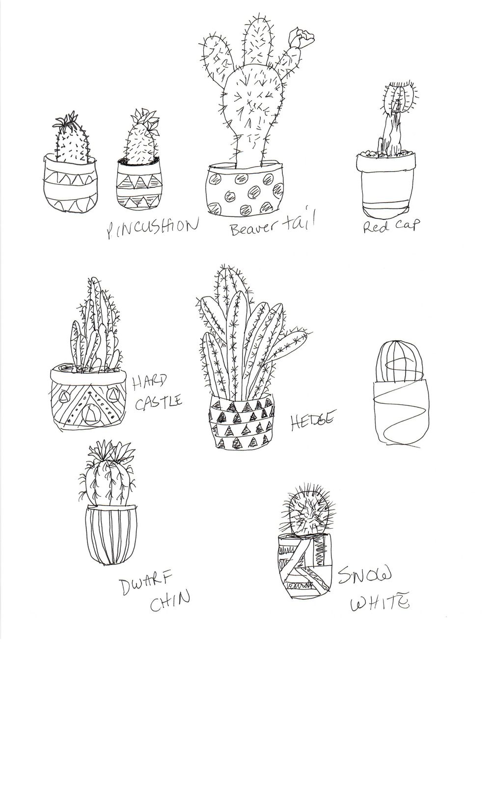 Practice Practice Practice Cactus cactus cactus. | Skillshare Student ...
