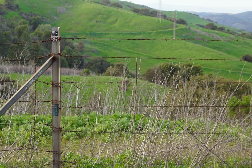 Depth Of Field Exercise | Skillshare Student Project