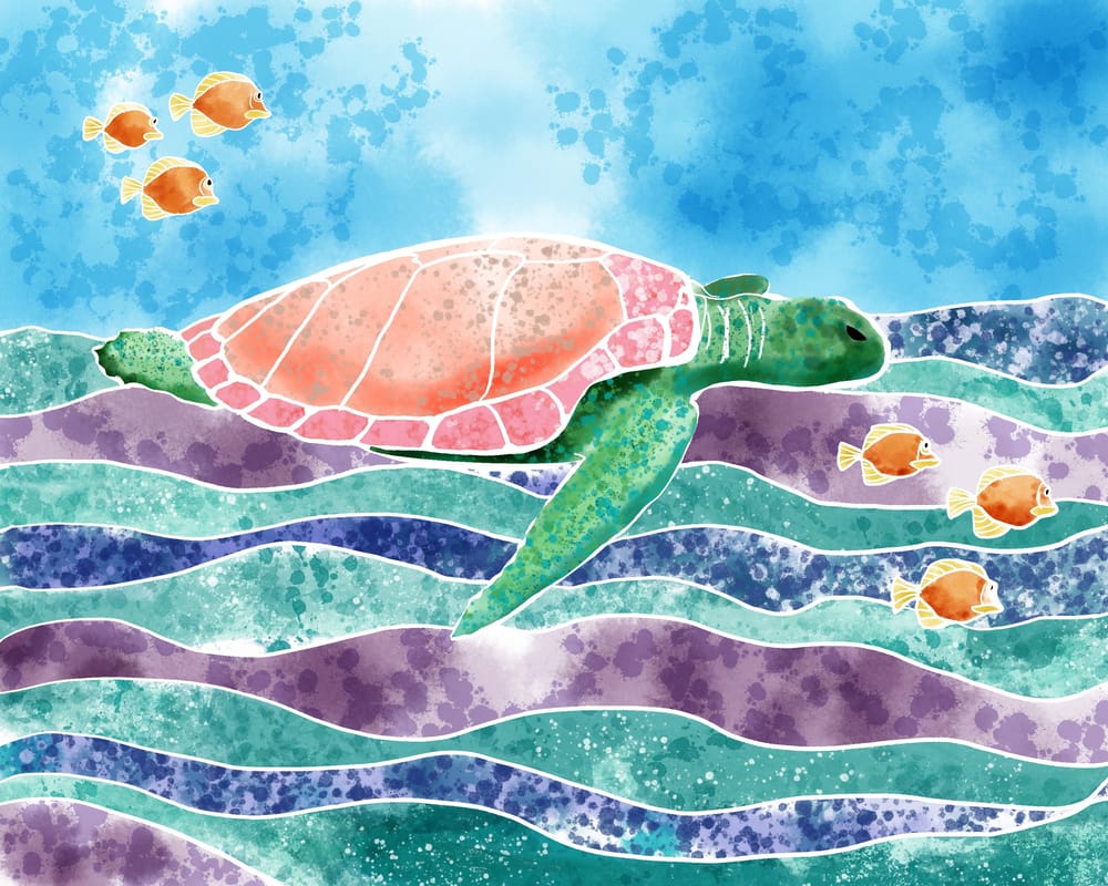 Turtle | Skillshare Student Project