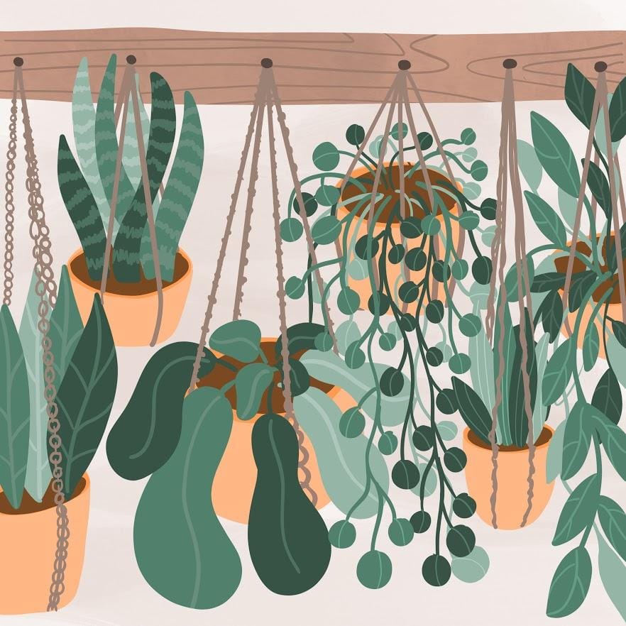 Plant Illustrations in Procreate | Skillshare Student Project