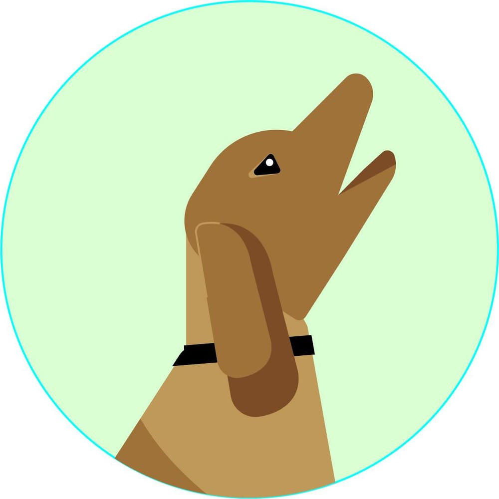 Illustrator class projects | Skillshare Student Project