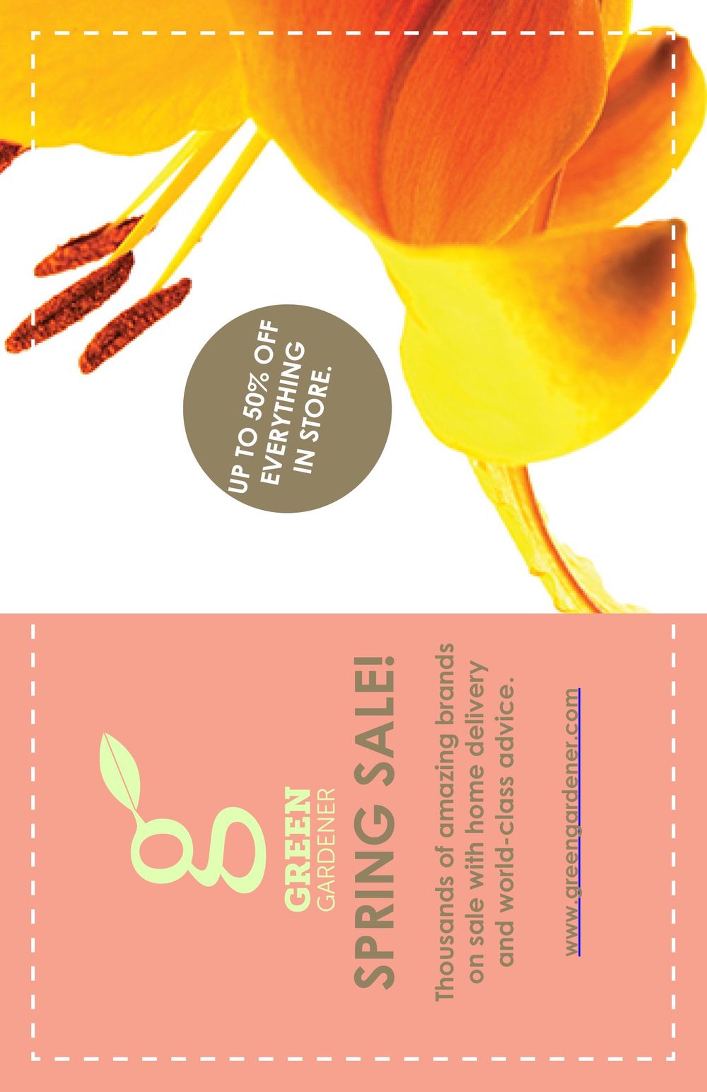 Class Exercise 1 | Skillshare Student Project