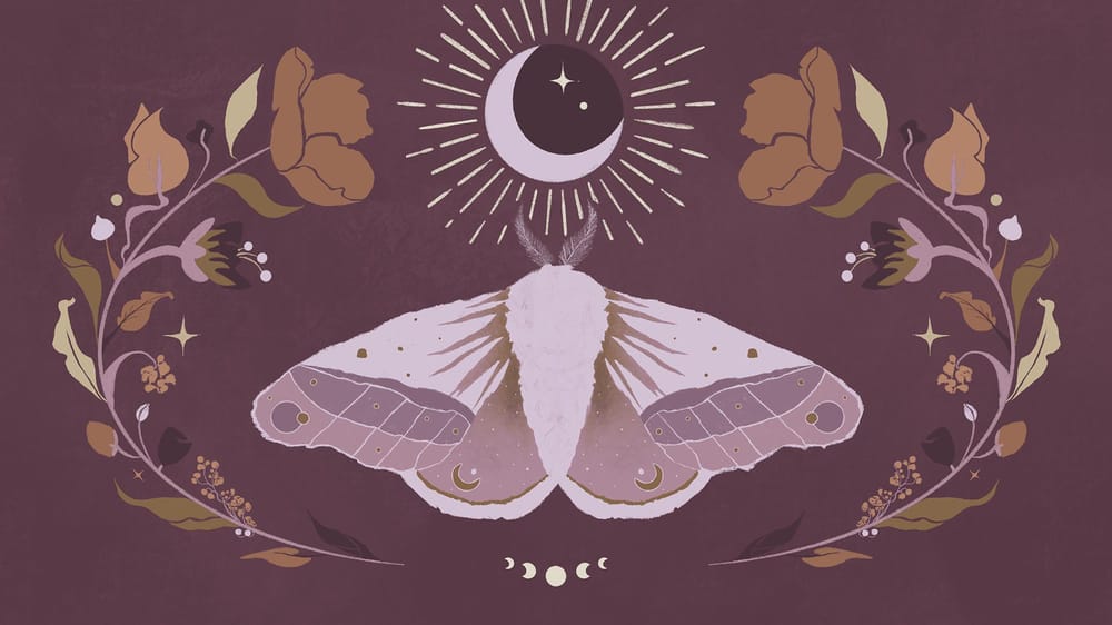 Celestial Moon Moth | Skillshare Student Project