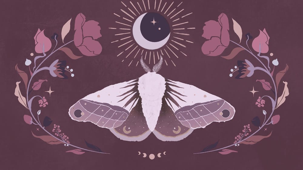 Celestial Moon Moth | Skillshare Student Project