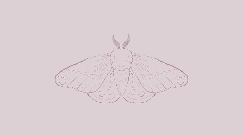 Celestial Moon Moth | Skillshare Student Project