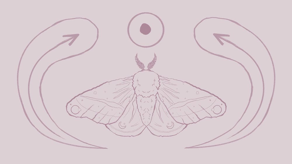 Celestial Moon Moth | Skillshare Student Project