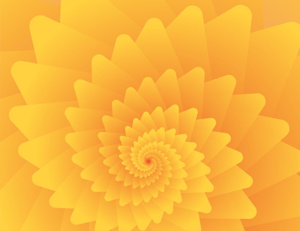 Class Projects Skillshare Student Project