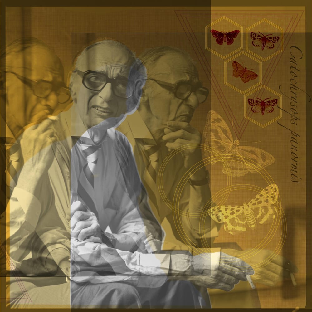 Andy’s Collage | Skillshare Student Project