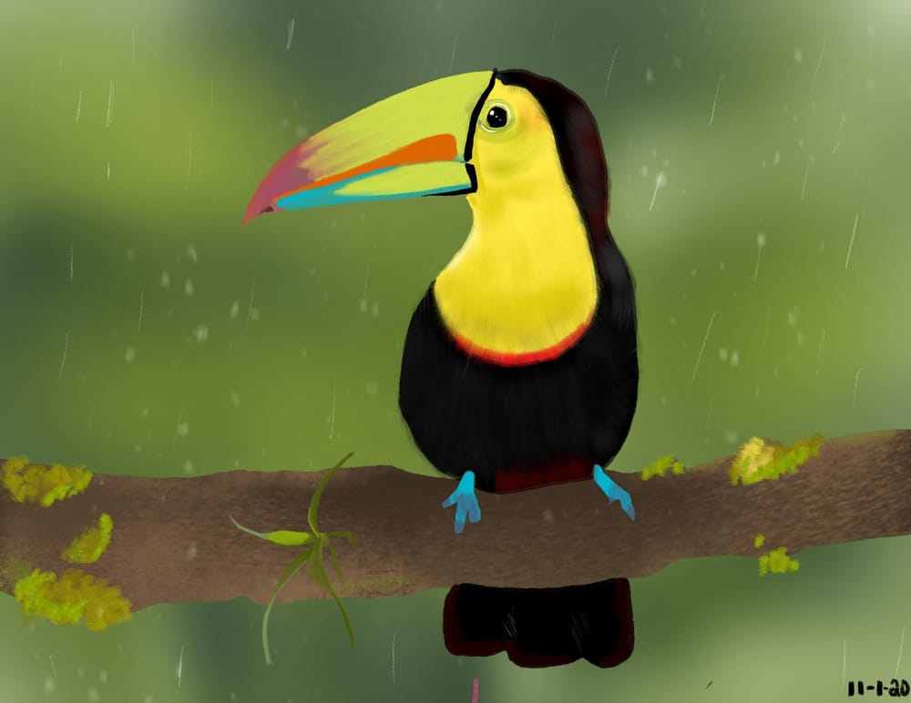 Shape method | Skillshare Student Project