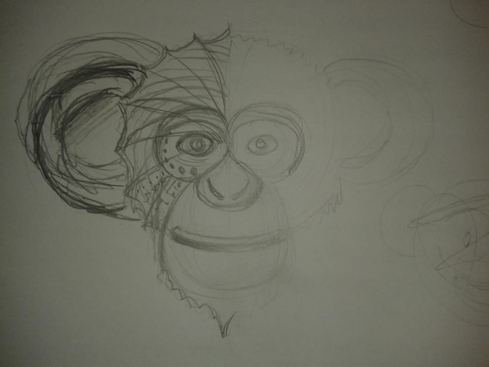 Monkey | Skillshare Student Project