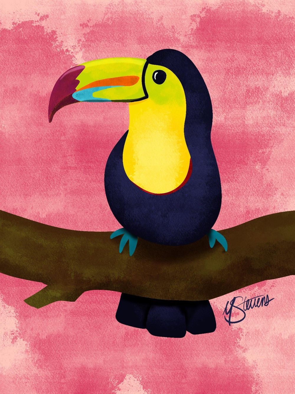 Tucan | Skillshare Student Project
