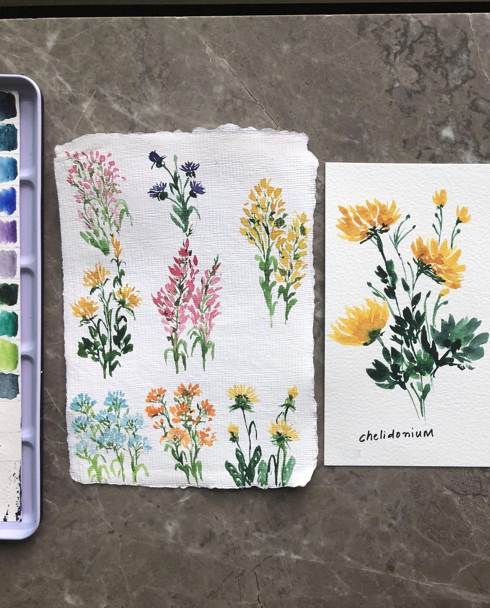 Wildflowers | Skillshare Student Project