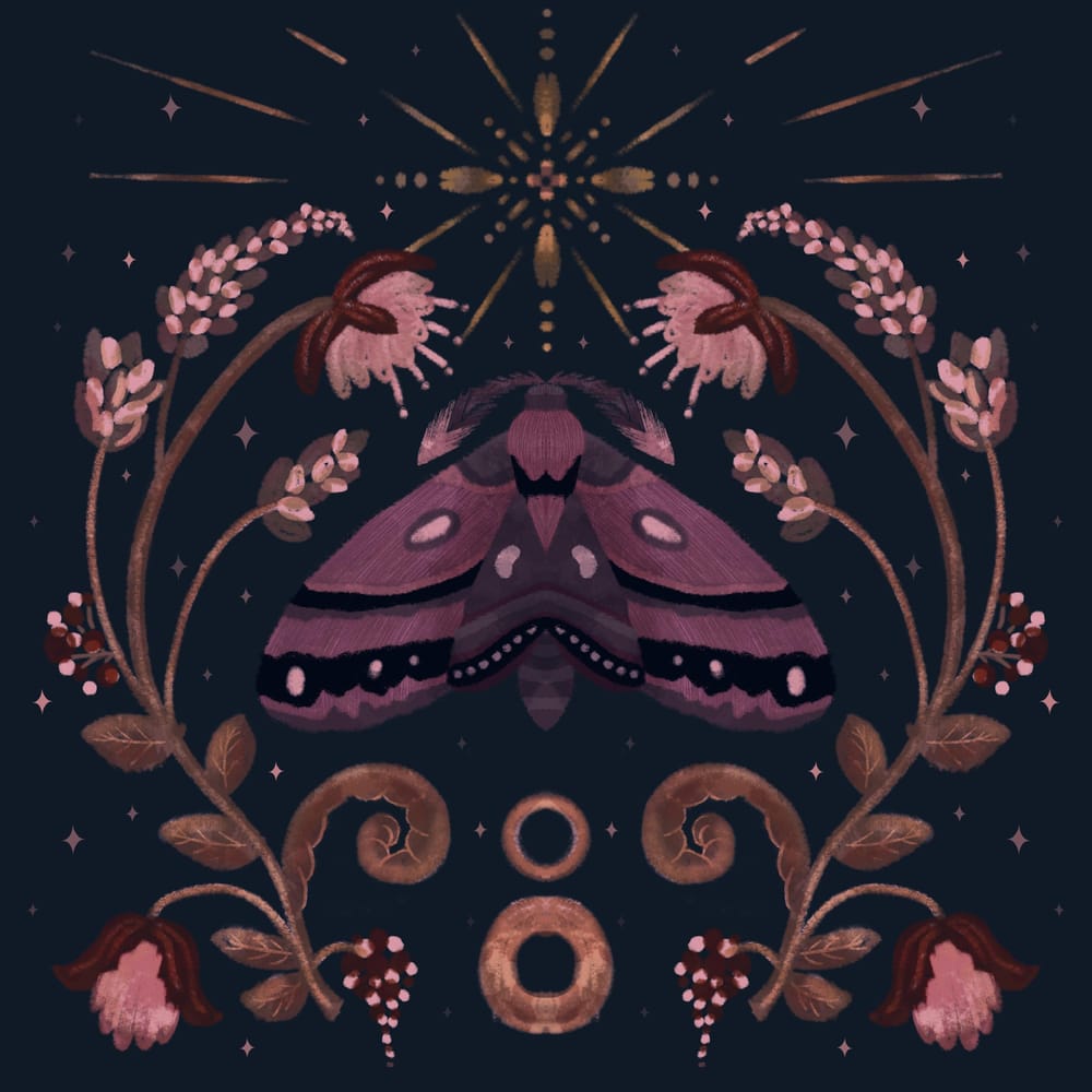 Lavender Moth | Skillshare Student Project